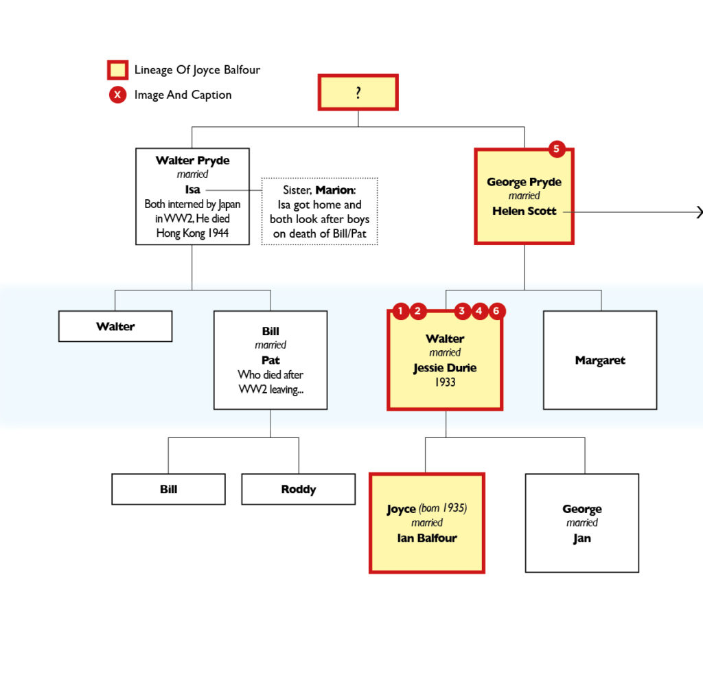 The Family Tree of Joyce's Father - ianbalfour