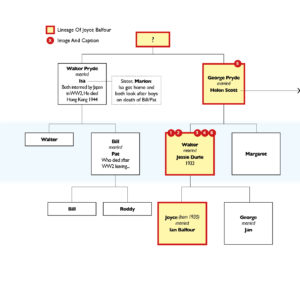 The Family Tree of Joyce's Father - ianbalfour